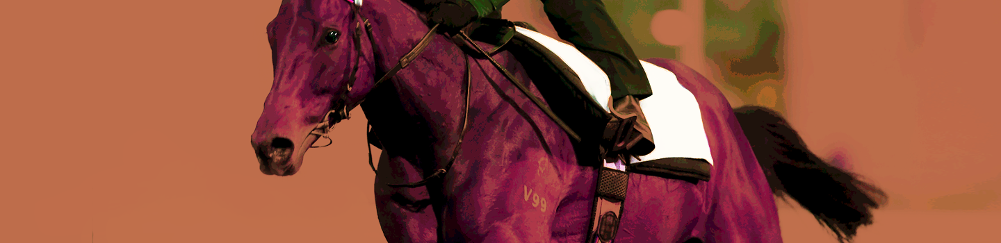 STARSHIP EIGHTY (H022) 活力多多 | Horses | HK Racing | South China Morning Post